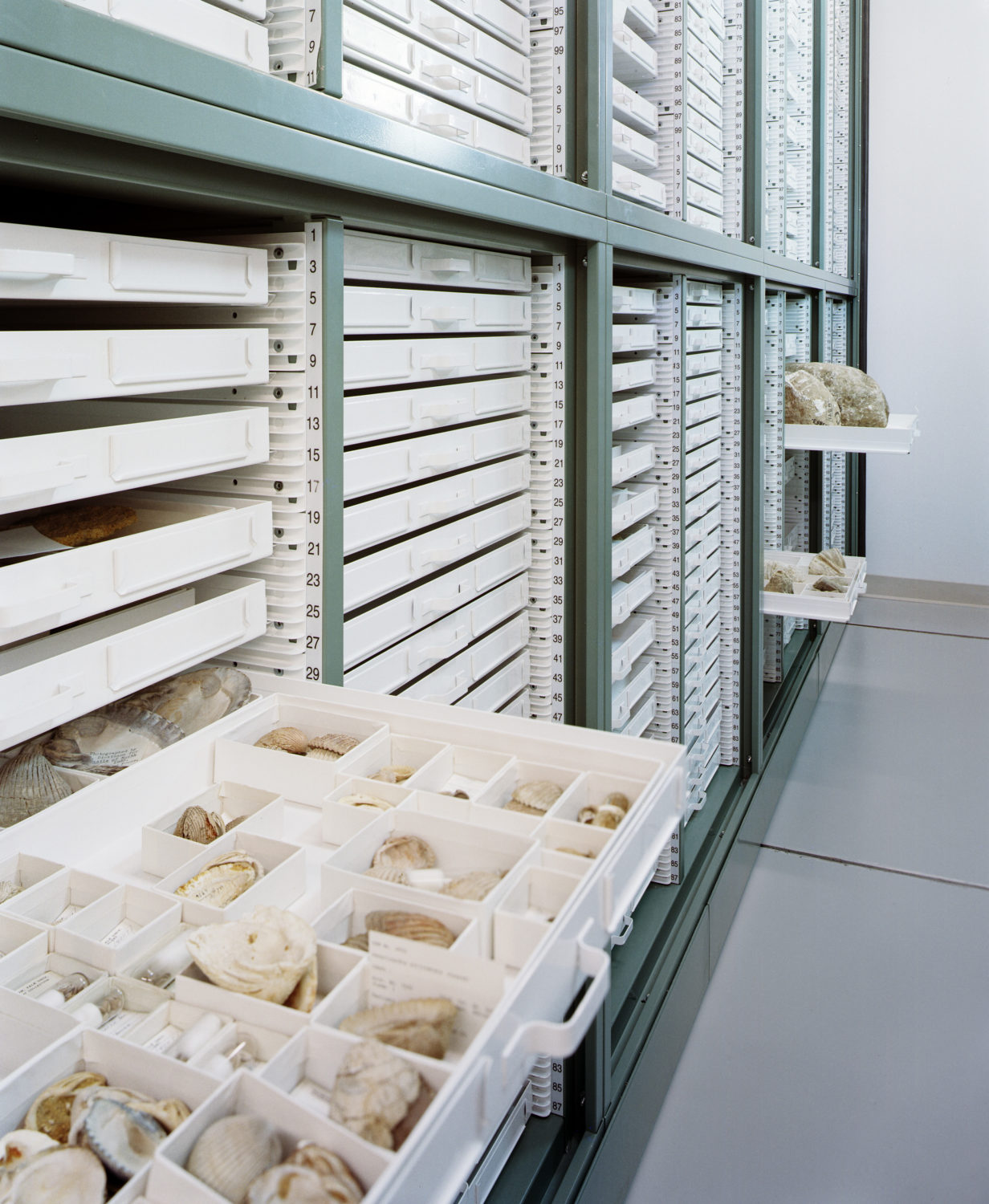 Spacesaver Museum Storage Cabinets Main 003 - SYSTEMCENTER